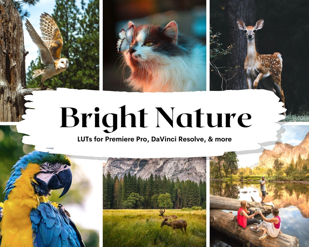 20 Bright Nature Luts Pack for Video and Color Grading | Video Luts for ...
