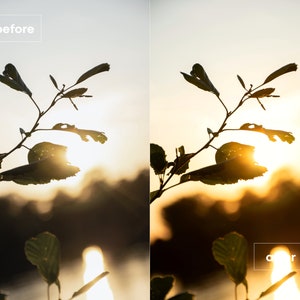 30 Warm Feelings Luts Pack for Video and Color Grading | Video Luts for ...