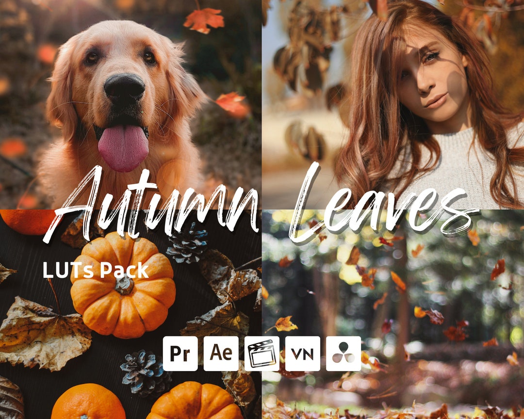 25 Autumn Leaves Luts Presets for Mobile & Desktop, Video Filter, Video ...