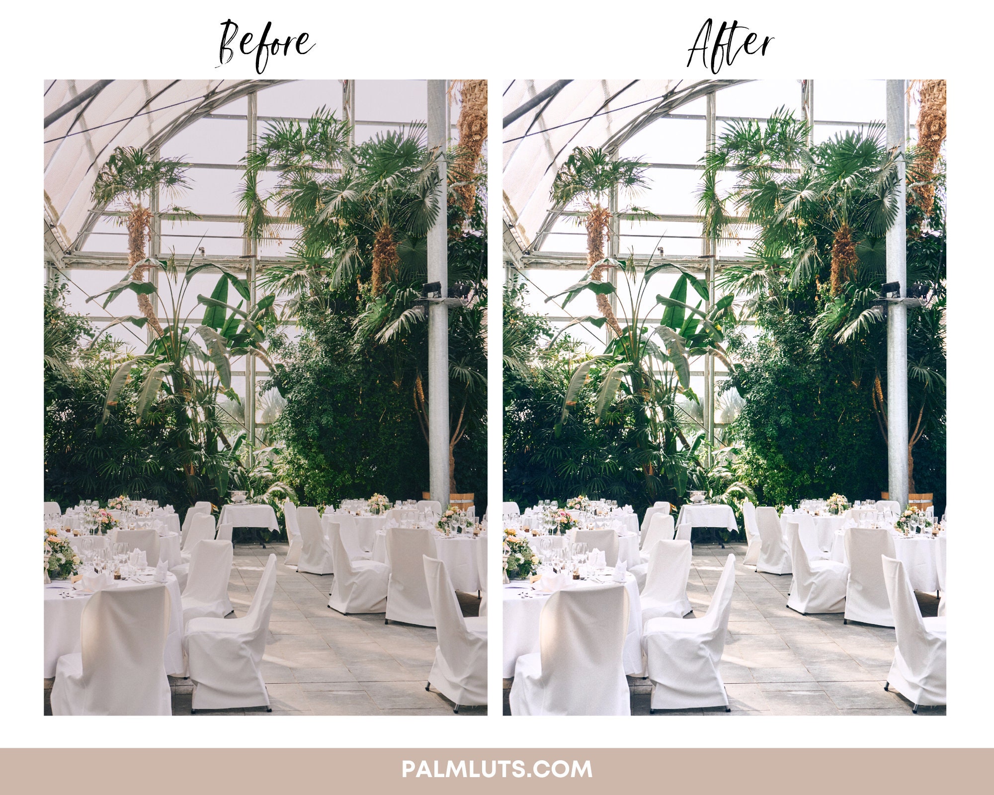 30 VSCO Style Luts Pack for Video and Color Grading Video - Etsy