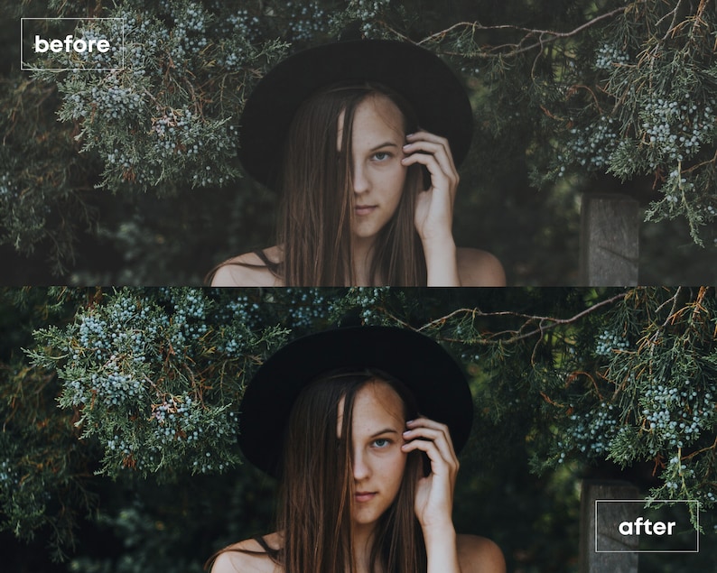 20 Cinematic Luts Pack for Video and Photo Color Grading - Etsy