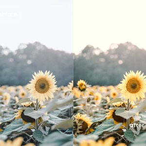 30 Warm Feelings Luts Pack for Video and Color Grading | Video Luts for ...