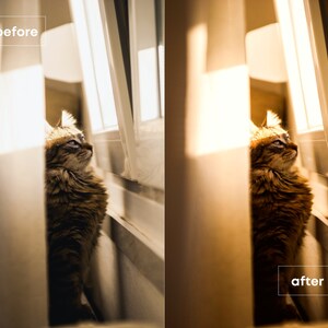 30 Warm Feelings Luts Pack for Video and Color Grading | Video Luts for ...