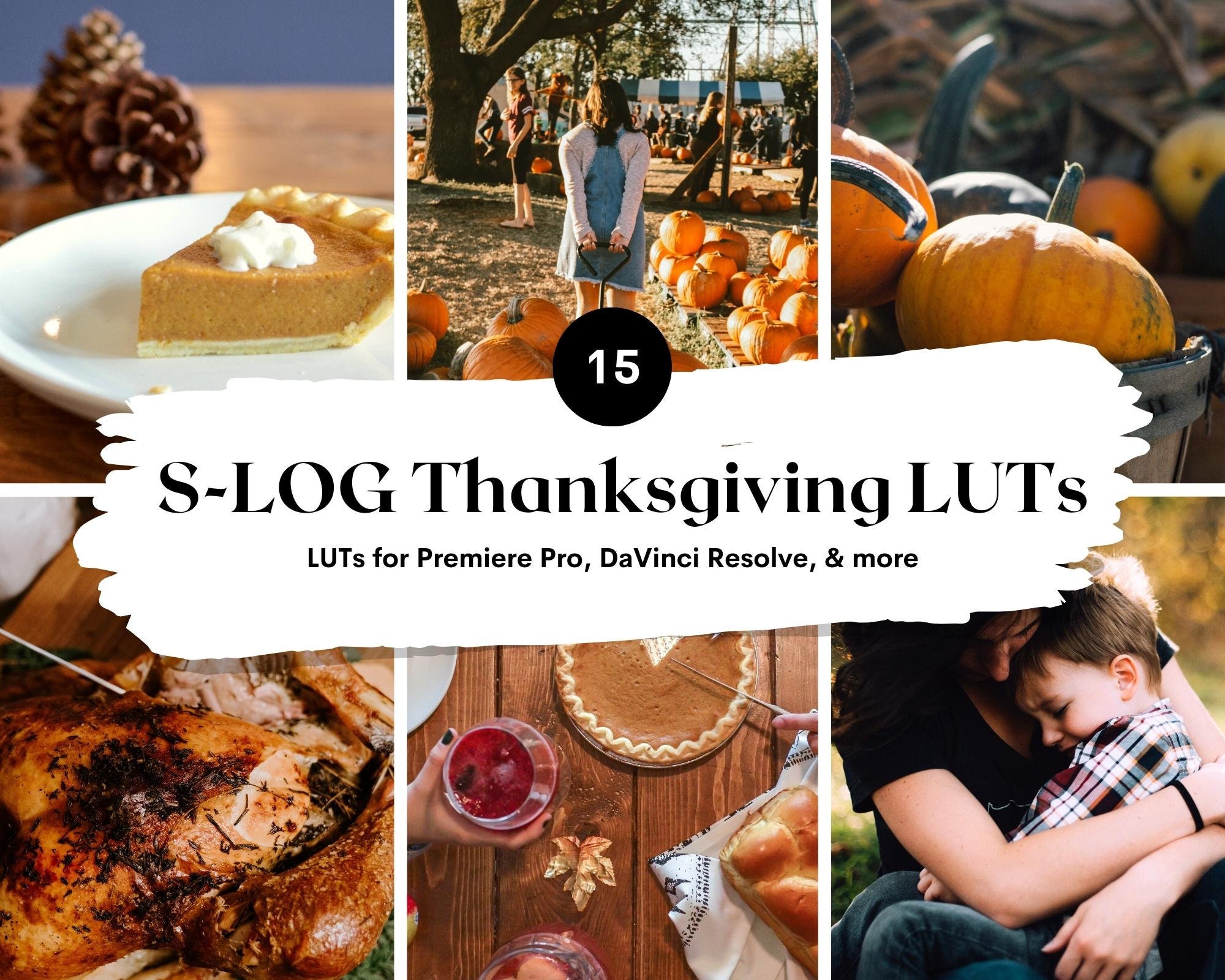 15 Thanksgiving S-LOG Luts Pack for Video and Color Grading - Etsy