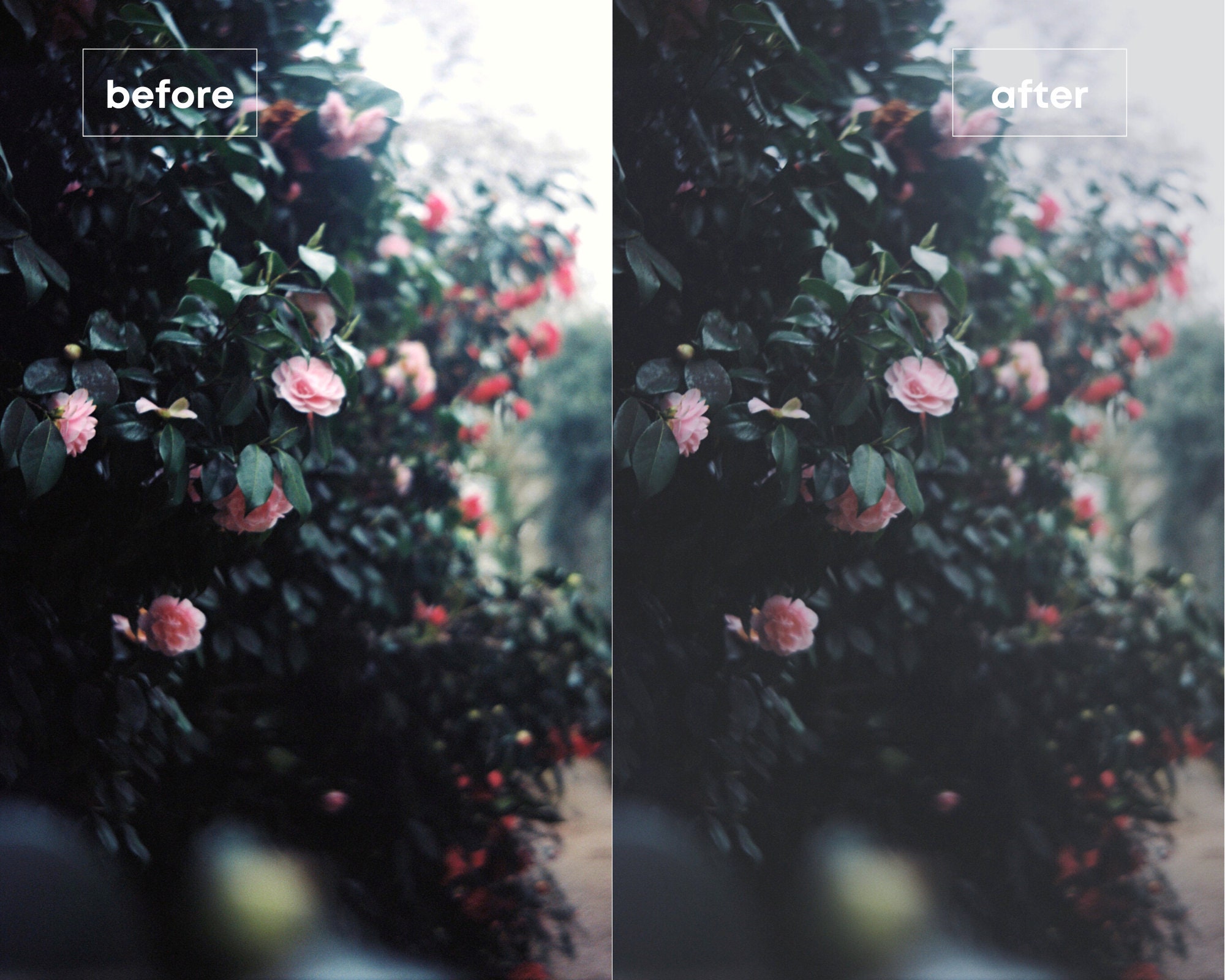 50 Film Reel Luts Pack for Video and Color Grading Video - Etsy