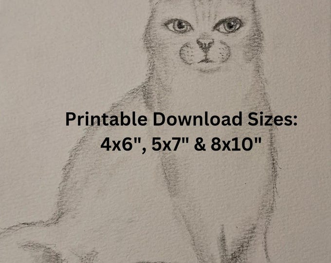 Custom Cat Portrait: Original Graphite Pencil Pet Drawing - Etsy Canada