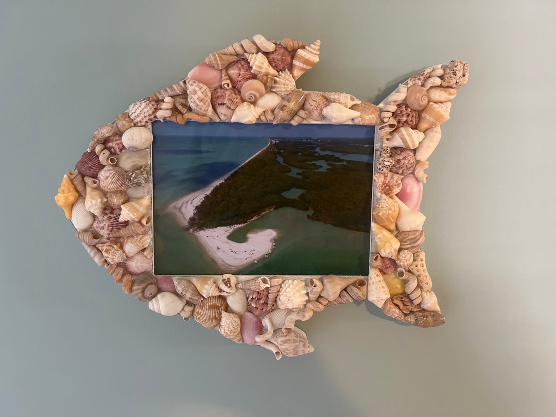 Seashell Covered Photo Fish Frame, Photo Frame for Fisherman, Fishing ...