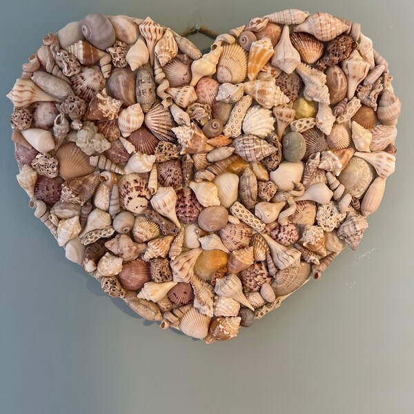 Seashell Heart - Etsy
