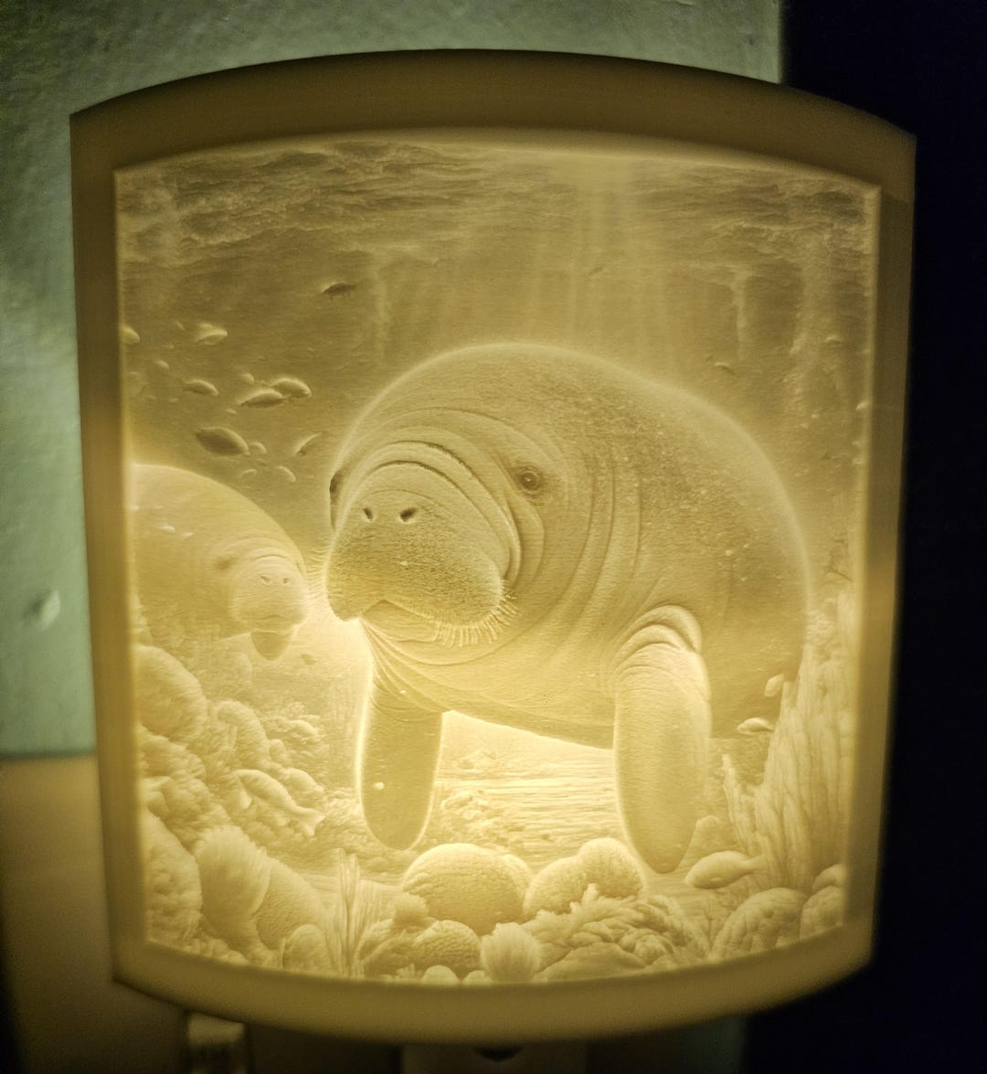 Manatee 3D Printed Lithophane LED Night Light, Ocean Decor - Etsy