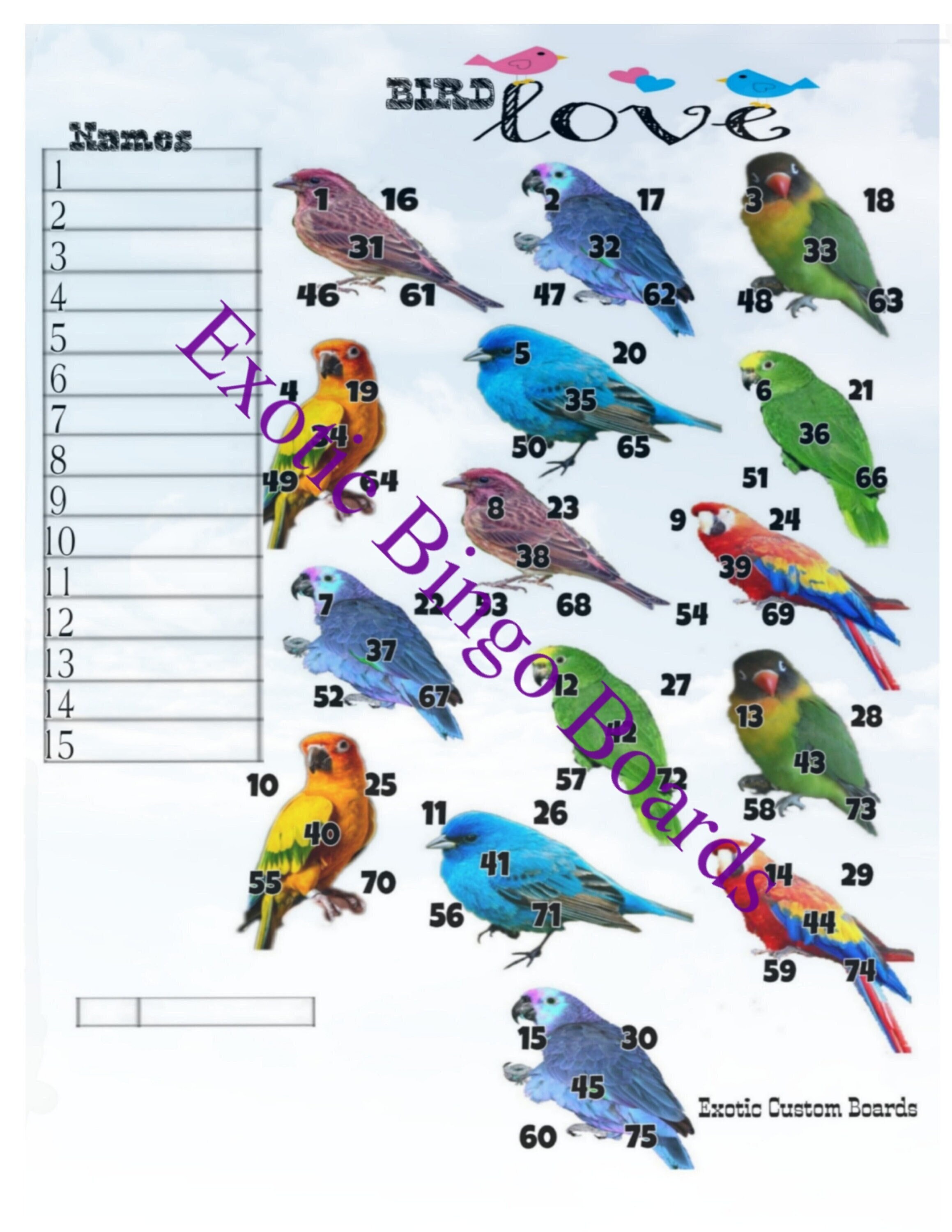 Games & Puzzles Straight Picture Love Birds 1-75 Ball Bingo Board 1-15 ...