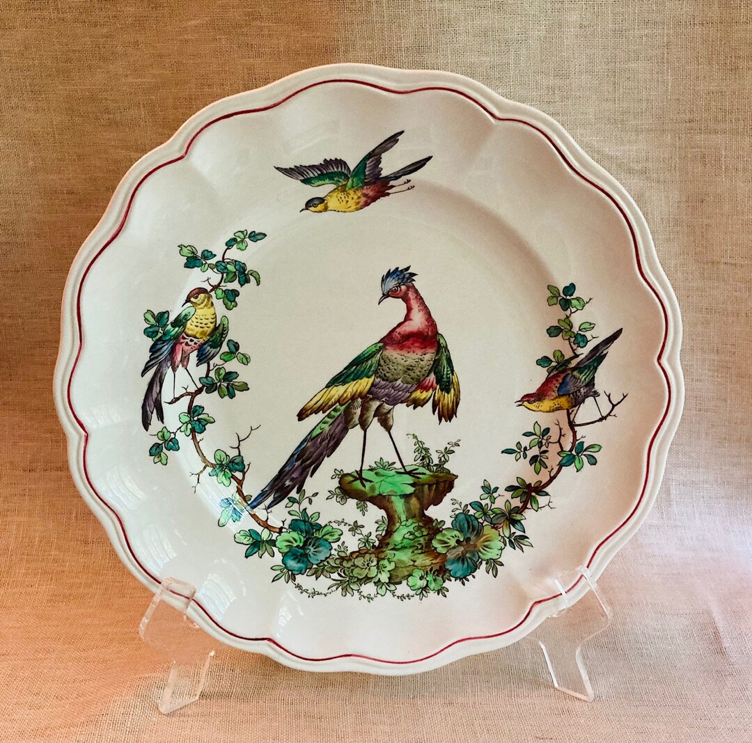 Vintage Spode Chelsea Bird Plate - Etsy