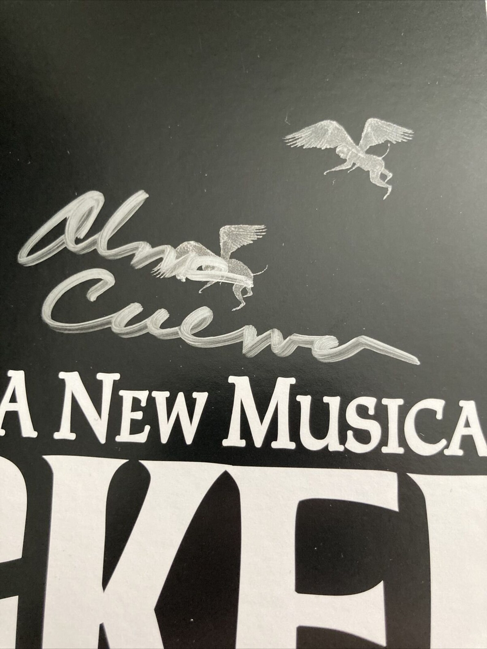 Signed Wicked Poster by Entire Travelling Cast That I Won at Fox ...