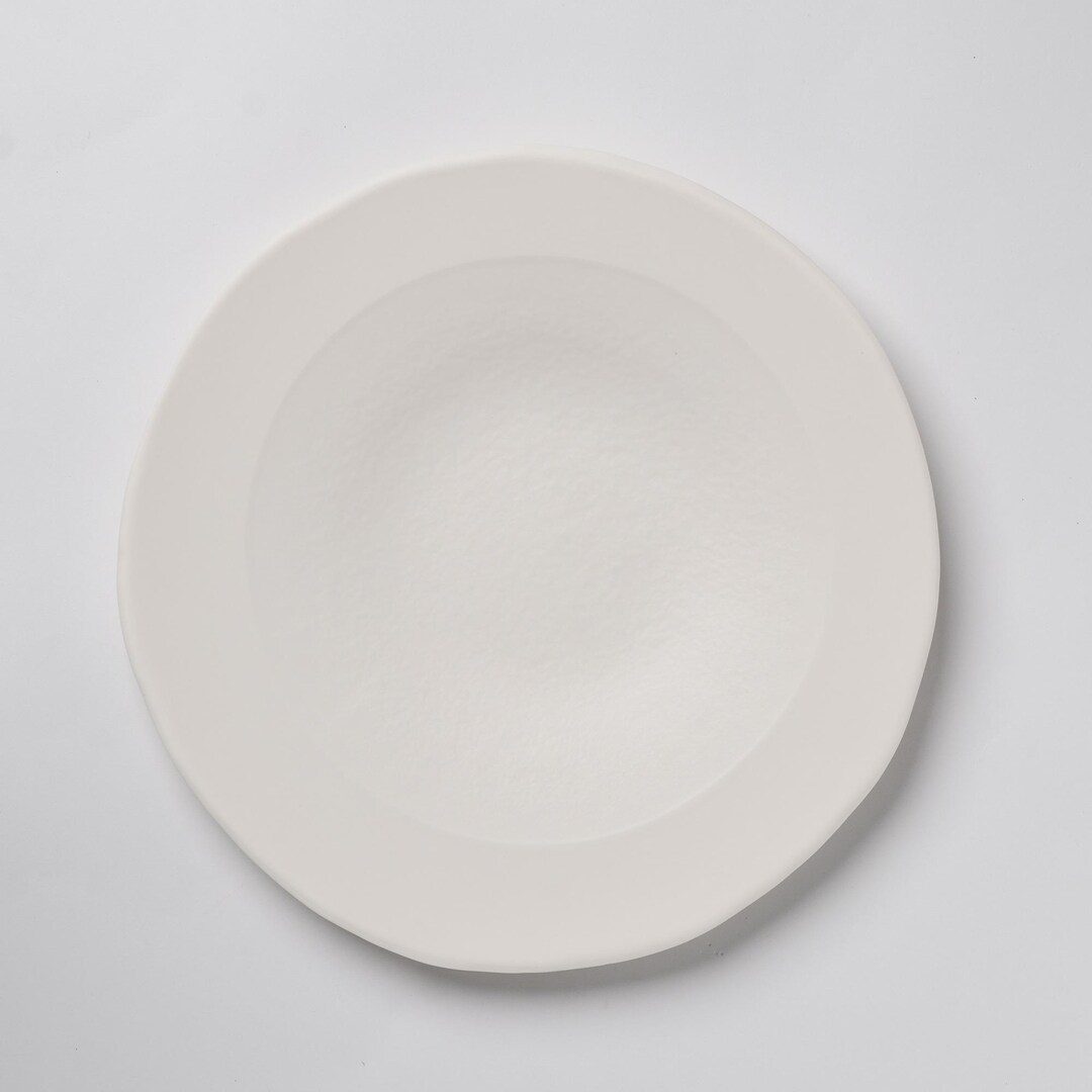 Hands of Mino Exhibition Yoichi Shiraishi Pasta Plate - Etsy