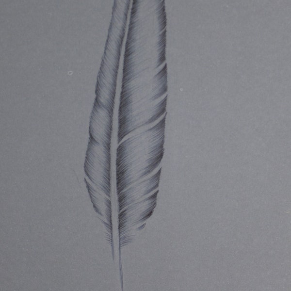 Feather Drawing - Etsy
