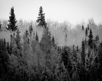 Mountains Treeline Wood Painted Scroll Saw Lake Ocean Cloudy - Etsy