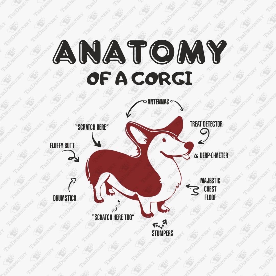Anatomy of a Corgi Funny Cute Dog Chart, SVG Cut File, Sublimation ...