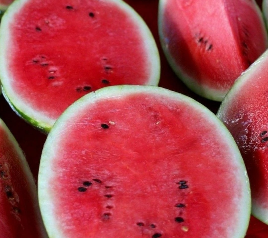Sugar Baby Watermelon Seeds - Non-gmo - Heirloom - Super Sweet Small ...