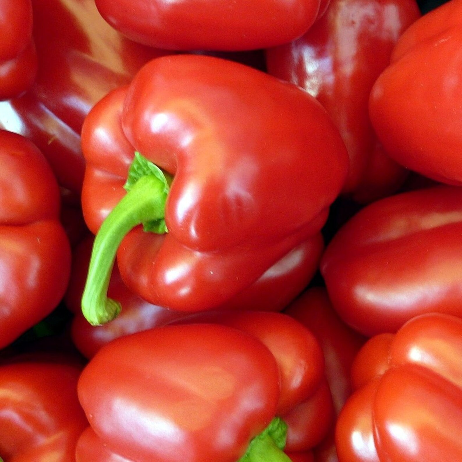 Sweet Big Red Bell Pepper Seeds Non-gmo Heirloom Sweet - Etsy