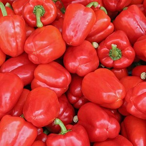 Sweet Big Red Bell Pepper Seeds - Non-gmo - Heirloom - Sweet, Fresh ...