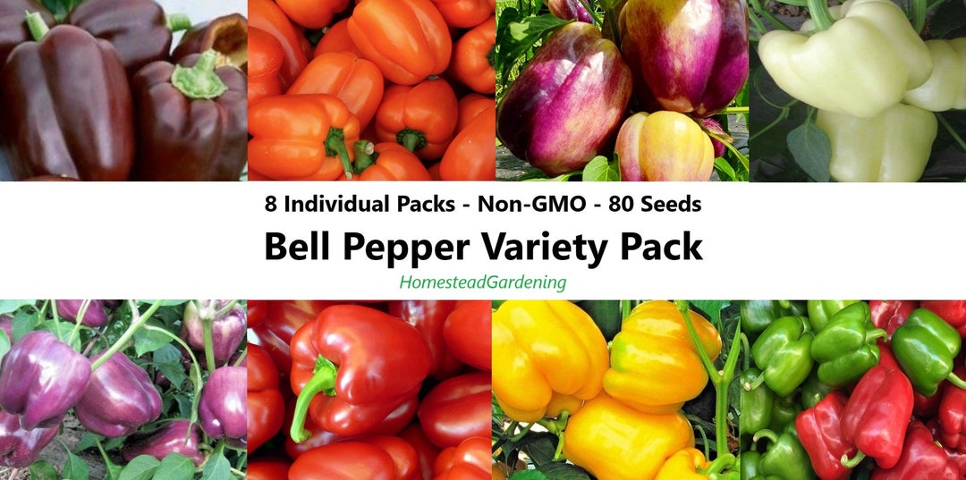 8 Pack - Bell Pepper Seed Pack - Non-gmo - 80+ Seeds - Eight Individual ...