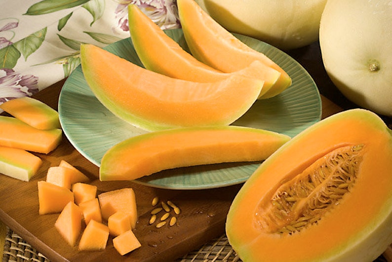 Honeyloupe Melon Seeds Orange Flesh Honeydew Non-gmo - Etsy