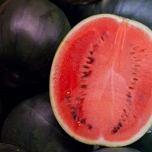 Black Diamond Watermelon Seeds - Non-gmo - Heirloom - Etsy