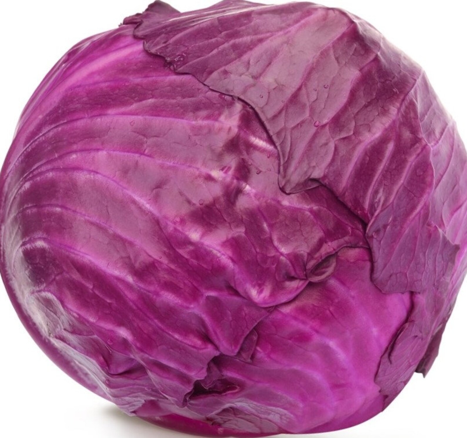 Red Acre Cabbage Seeds for Microgreens or Garden Growing - Etsy