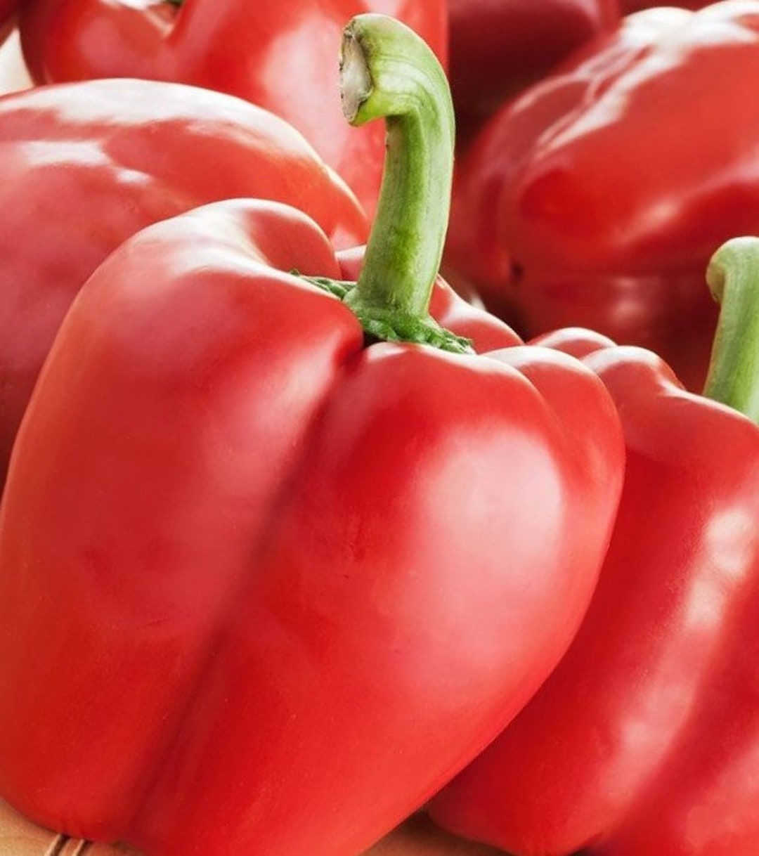 Sweet Big Red Bell Pepper Seeds - Non-gmo - Heirloom - Sweet, Fresh ...