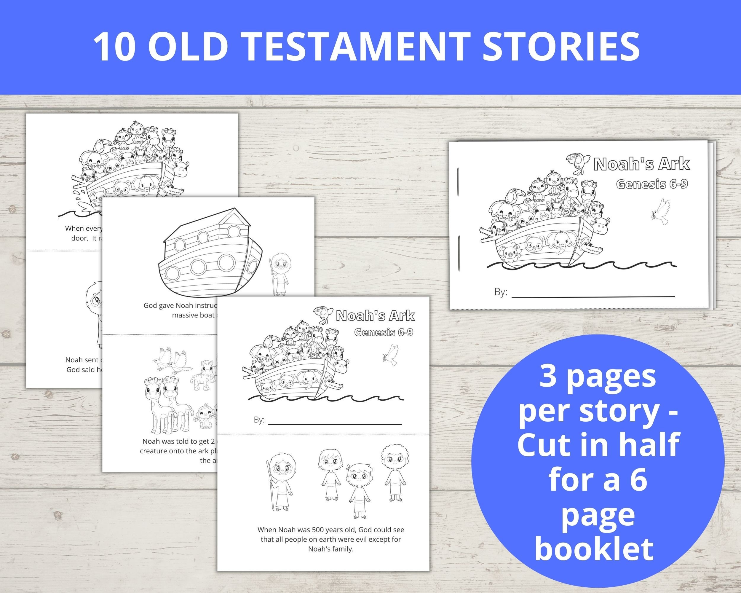Bible Crafts, Sunday School Craft, Mini Books, Noahs Ark, Days of ...