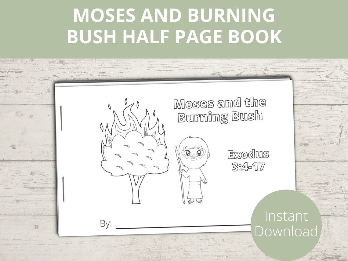 Moses and the Burning Bush, Sunday School Craft, Moses Craft, Bible ...