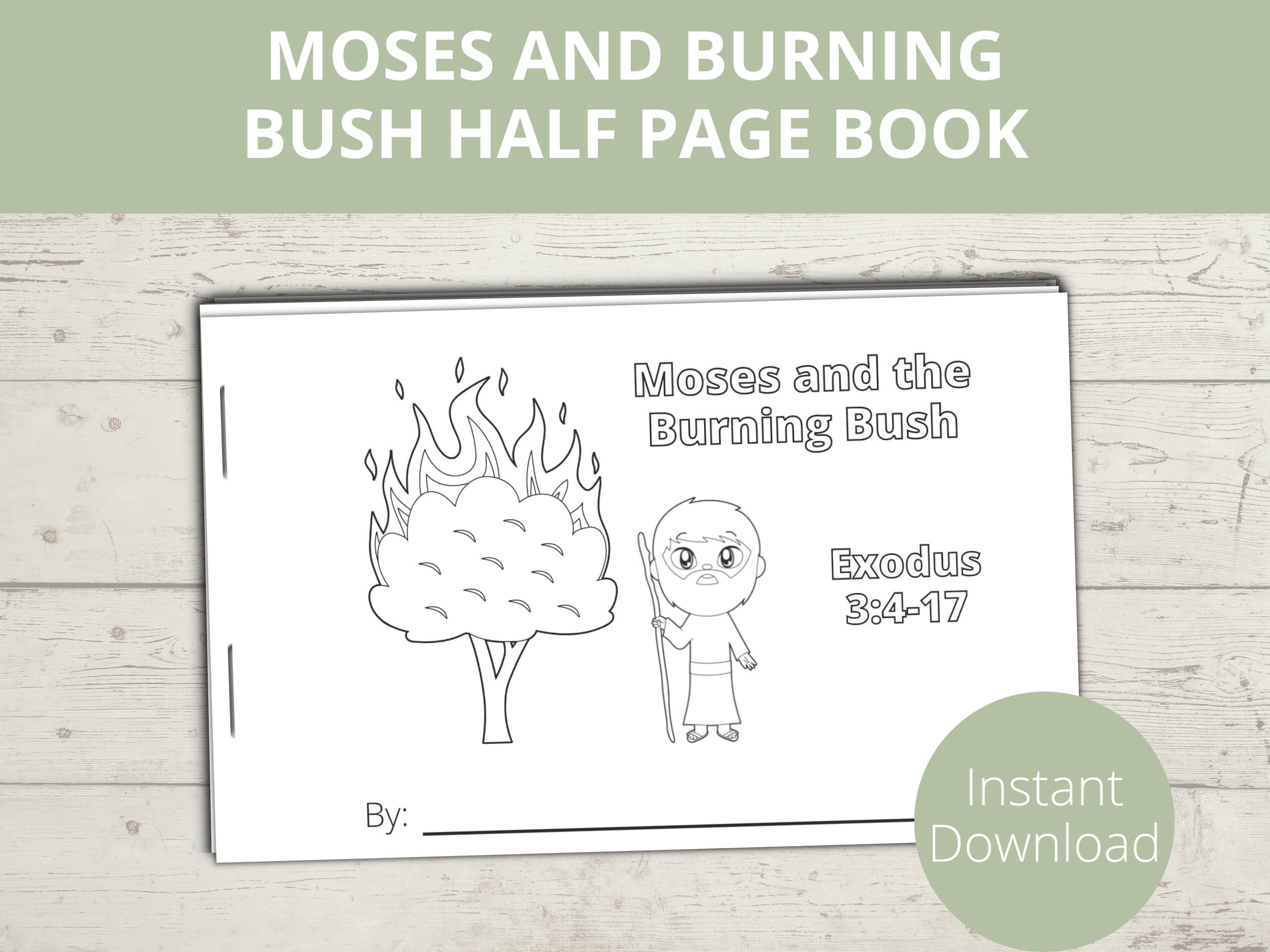 Moses and the Burning Bush, Sunday School Craft, Moses Craft, Bible ...