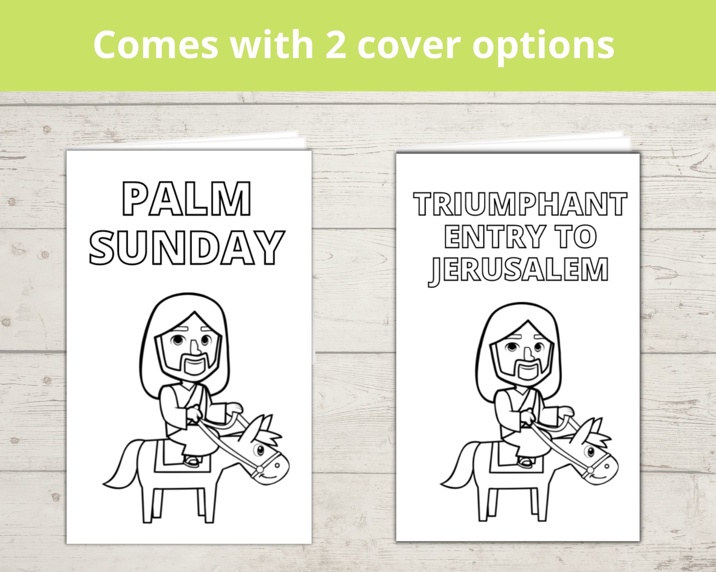 Palm Sunday Activity, Jesus Triumphant Entry to Jerusalem Sunday School ...