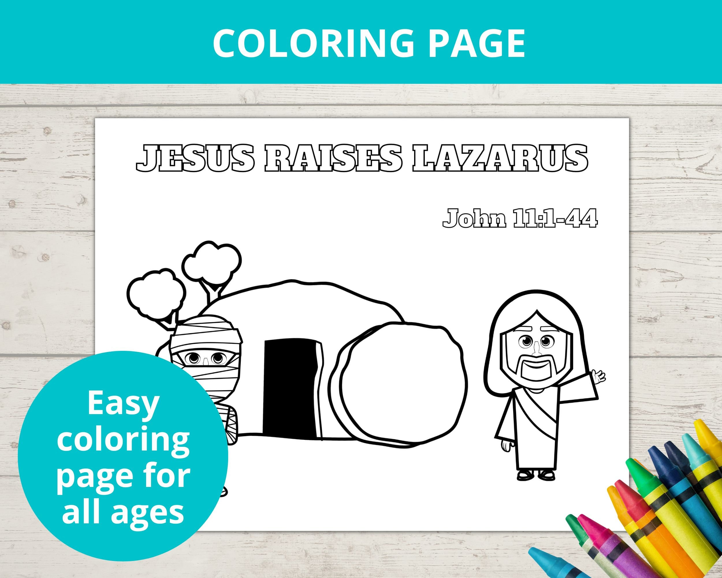 Jesus Raises Lazarus From the Dead Bible Story Activities - Etsy