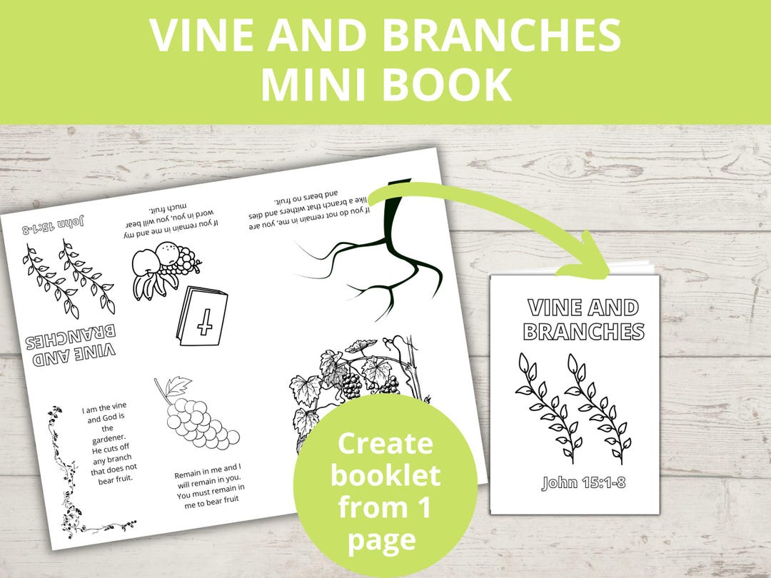 I Am the Vine, John 15, Vine and Branches, Bible Story for Kids, Sunday ...