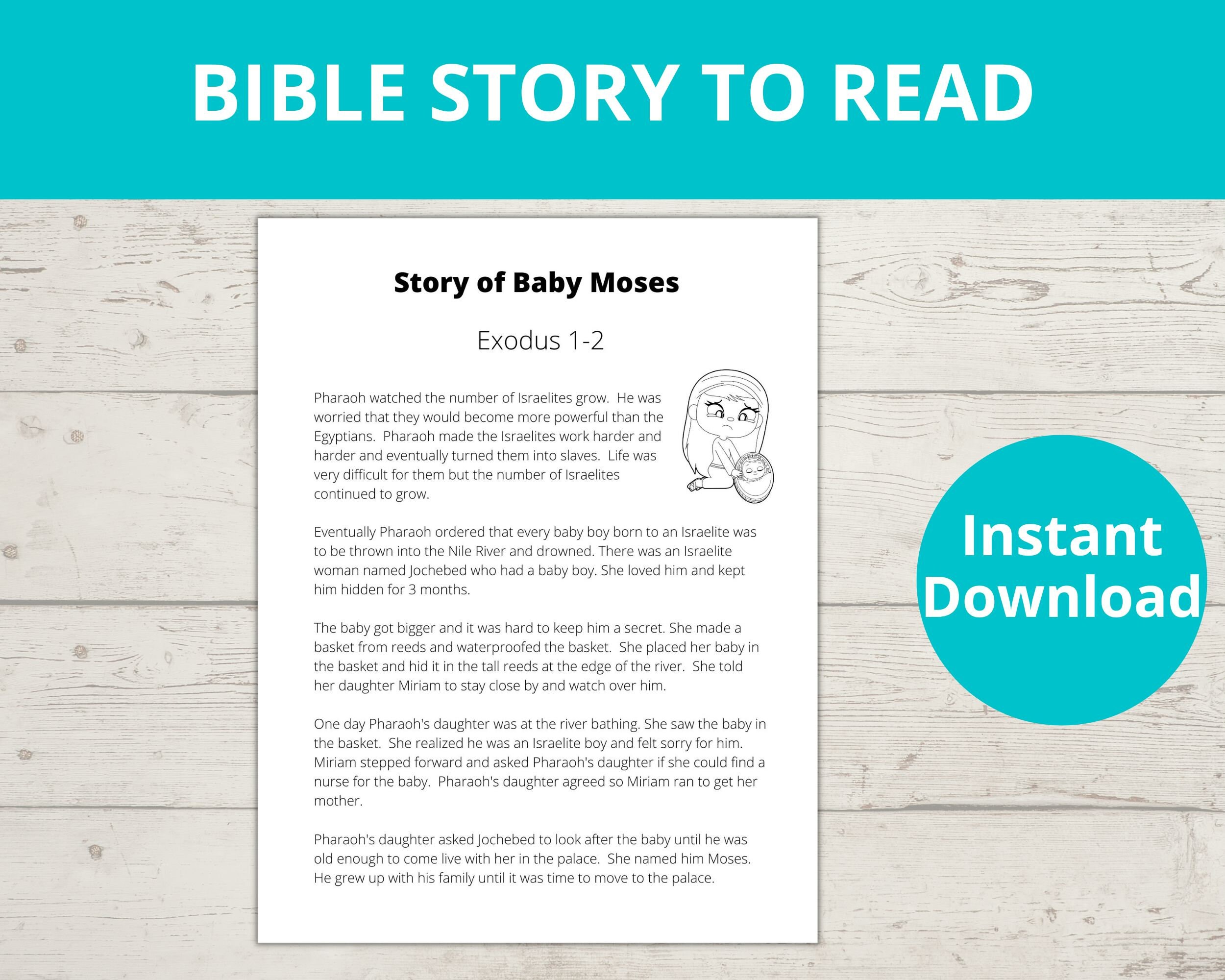 Baby Moses Bible Story Activities, Sunday School Craft, Moses Basket ...