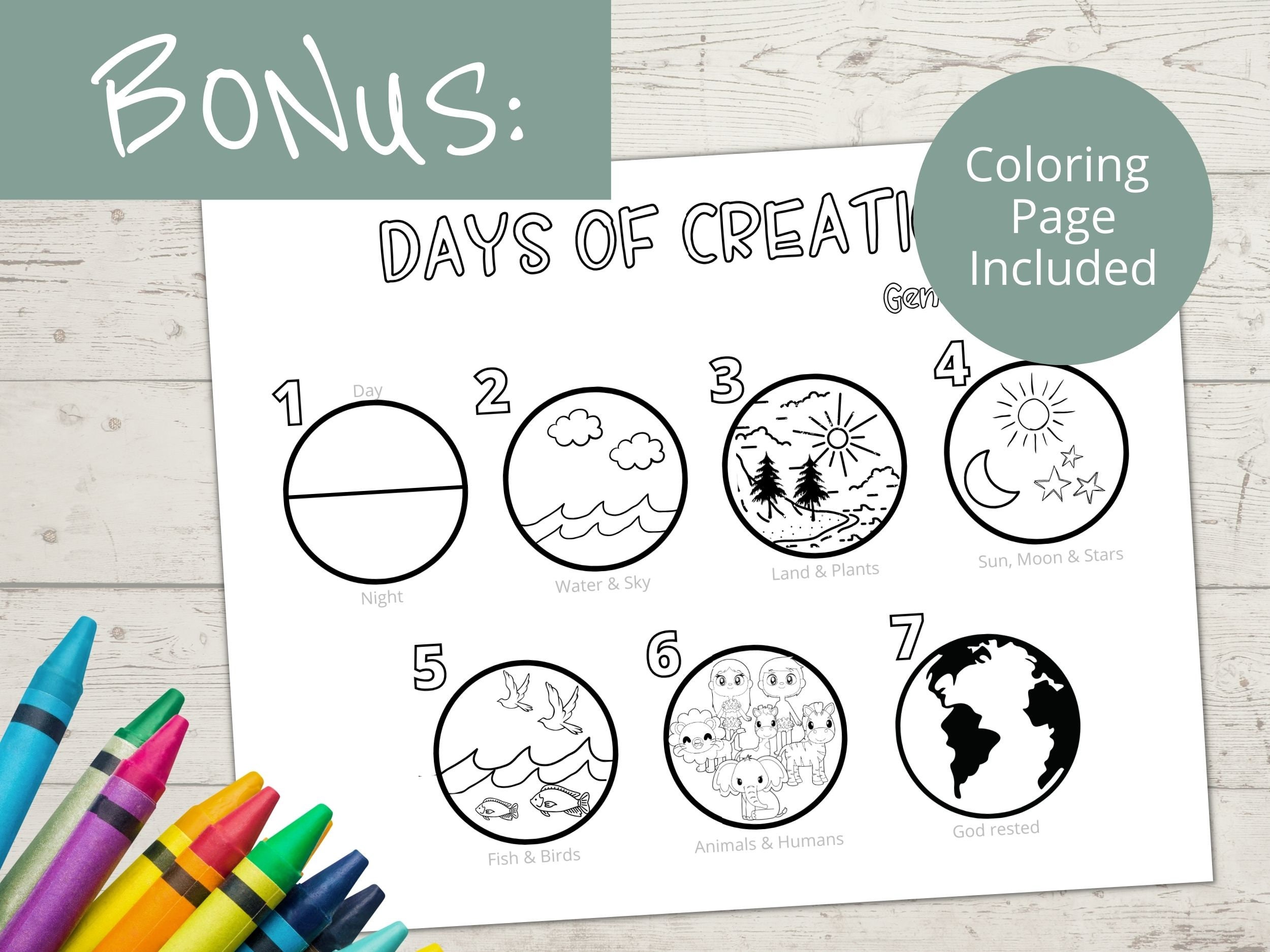 Days of Creation Activities, Creation Bible Printable, Bible Activity ...