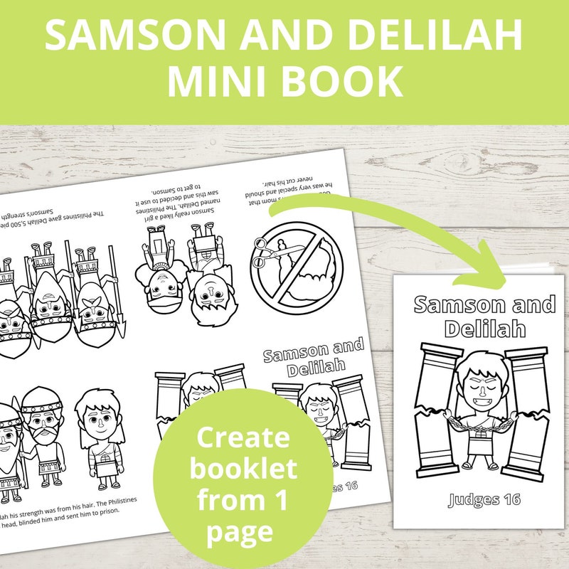 Samson Bible - Etsy