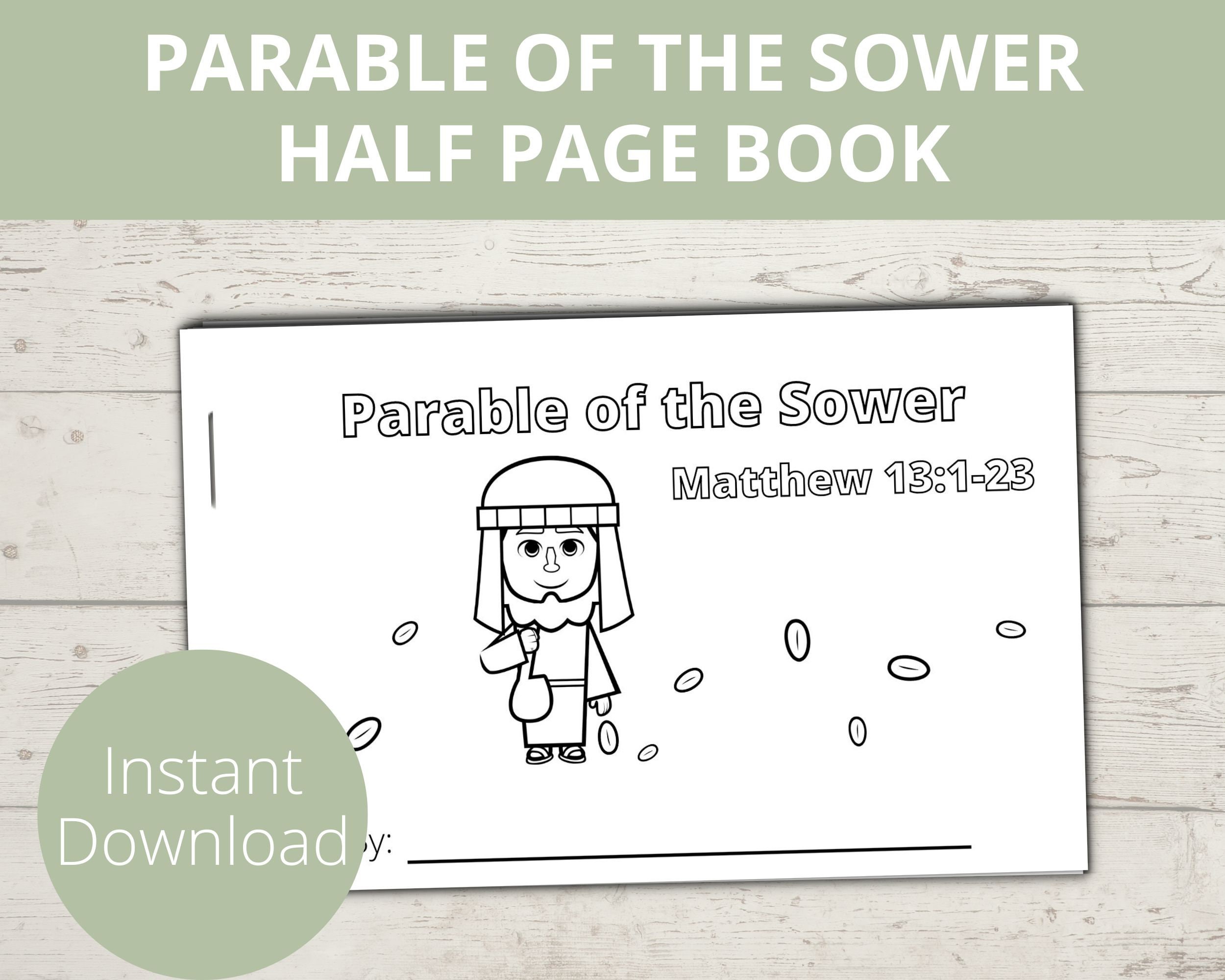 Parable of the Sower Preschool Bible Lesson Parables of - Etsy UK