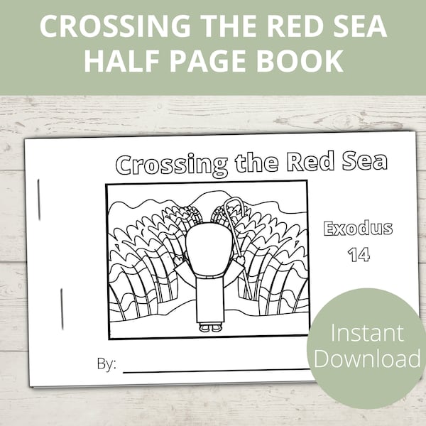 Moses Red Sea - Etsy