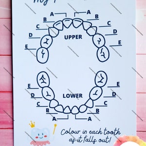 Tooth Colour Chart | Tooth Keepsake | Toothfairy Gifts - Etsy UK