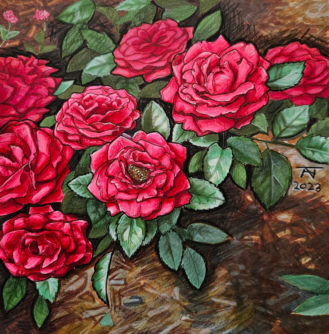 9x9 Red Roses Original Drawing // Realistic Marker, Pen, and Pencil ...