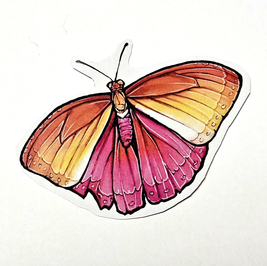 Lesbian Butterfly Sticker // LGBTQ Pride Flag Sticker, Pink and Orange ...