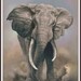 Elephant Chart Counted Cross Stitch Pattern Craft PDF - Etsy UK