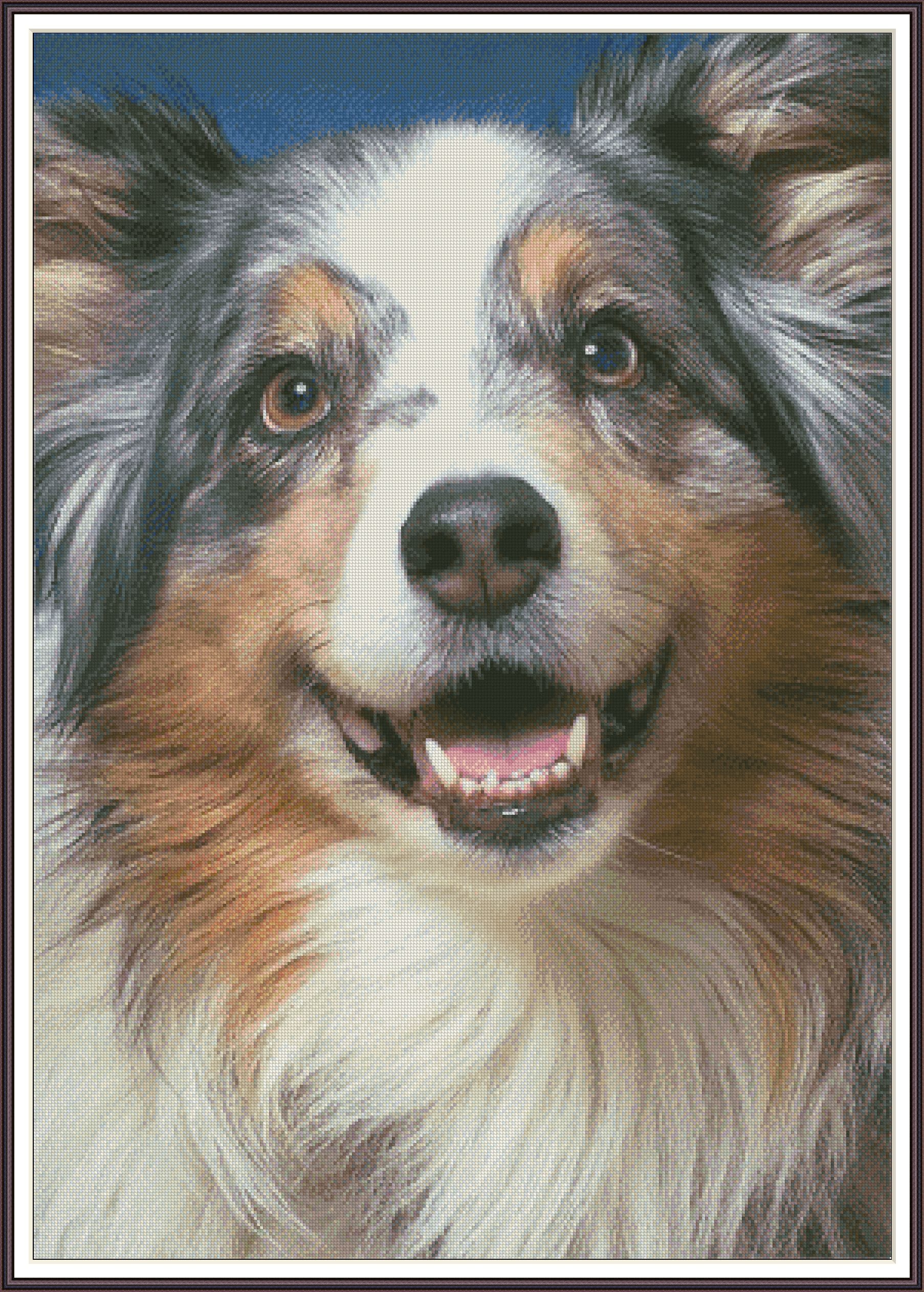 Australian Shepherd - Chart Counted Cross Stitch Pattern Craft PDF - Etsy