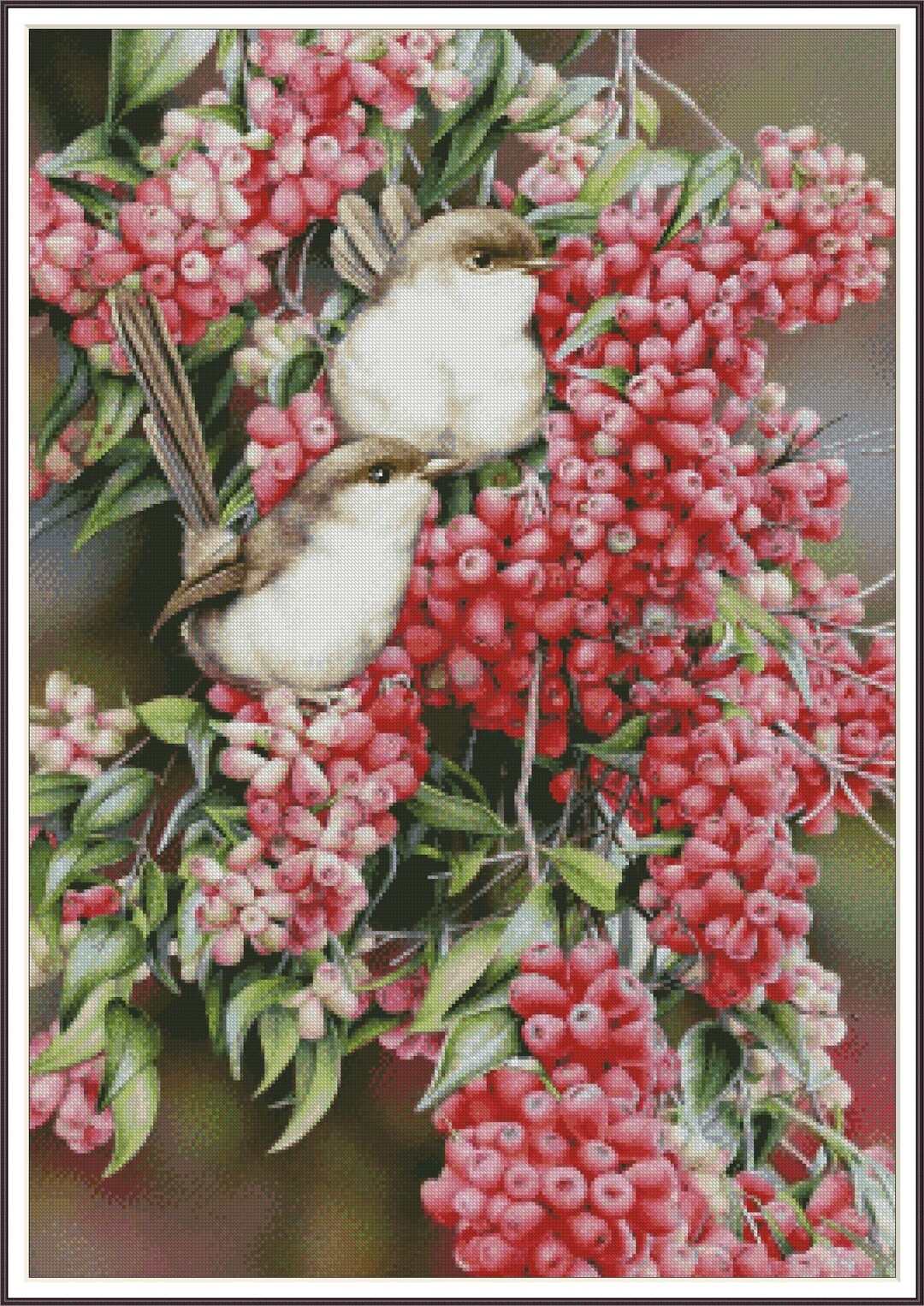 Wrens and Lilly Pilly Astral Owl Barred Owl Perched Family Tree ...