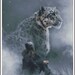 Snow Leopard Cross Stitch Pattern: Woman and Feline Portrait (PDF) - Etsy
