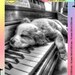 Piano Dog Cross Stitch Pattern: Golden Retriever Puppy (PDF Pattern) - Etsy
