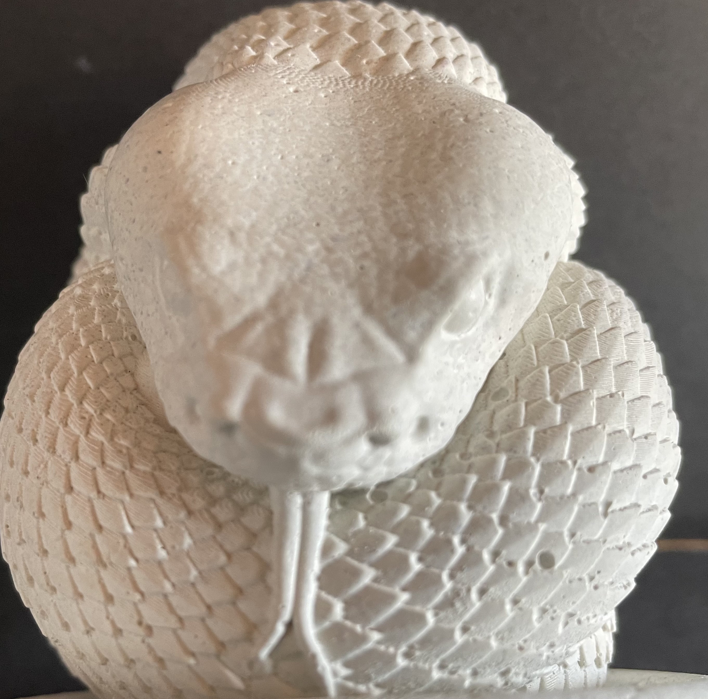 PYTHON Cement Concrete 5 Inch HANDMADE Great Gift Idea JLK - Etsy