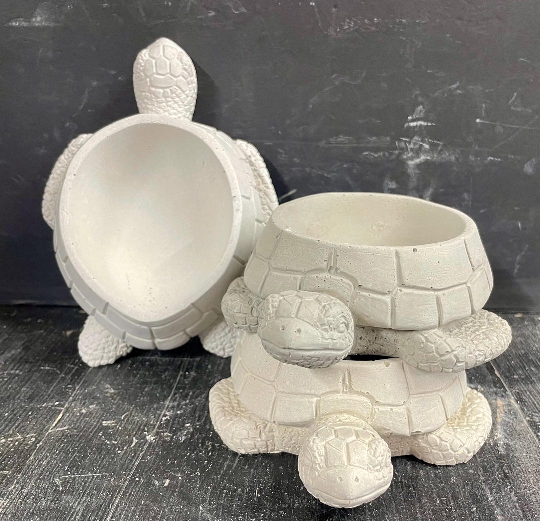 Cement Turtle Concrete Planter Catch-all Dish Optional Drain Hole ...