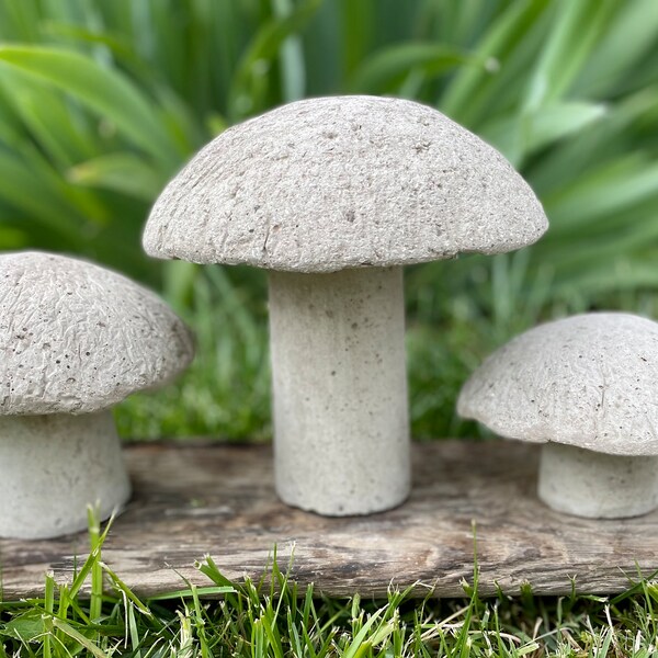 Concrete Mushrooms - Etsy